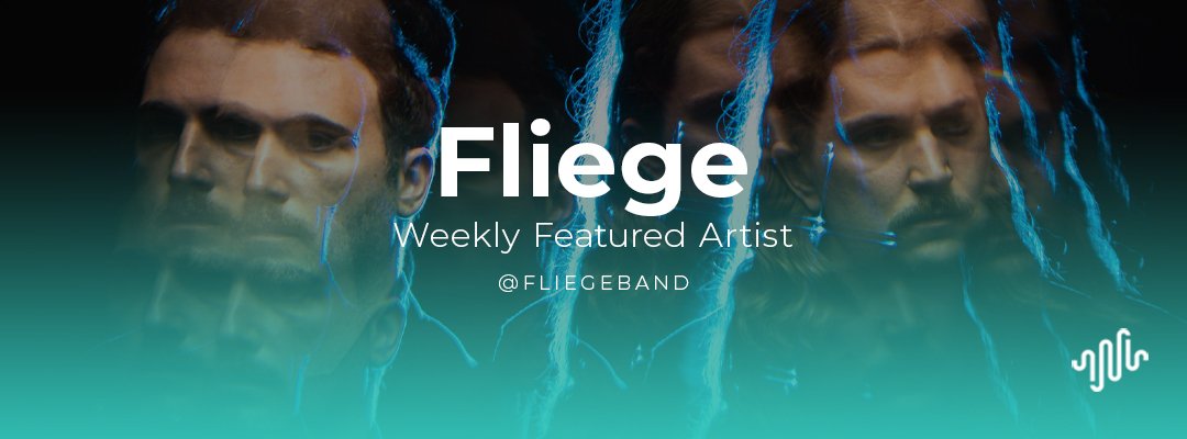 WFA: Fliege - Everything Is Noise