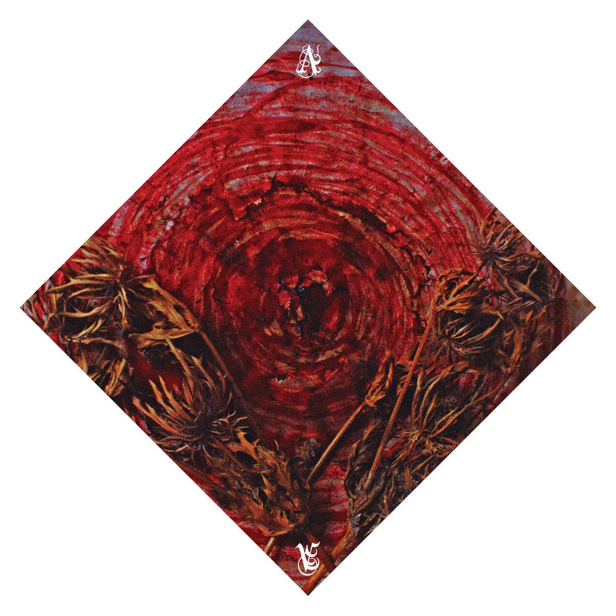 Ainsoph - "Affection & Vengeance" - Everything Is Noise